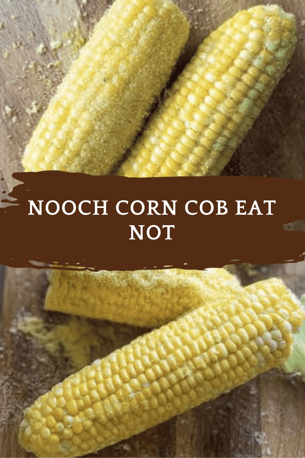 Nooch Corn Cob Eat Not Recipes For Tasty Summer Meals