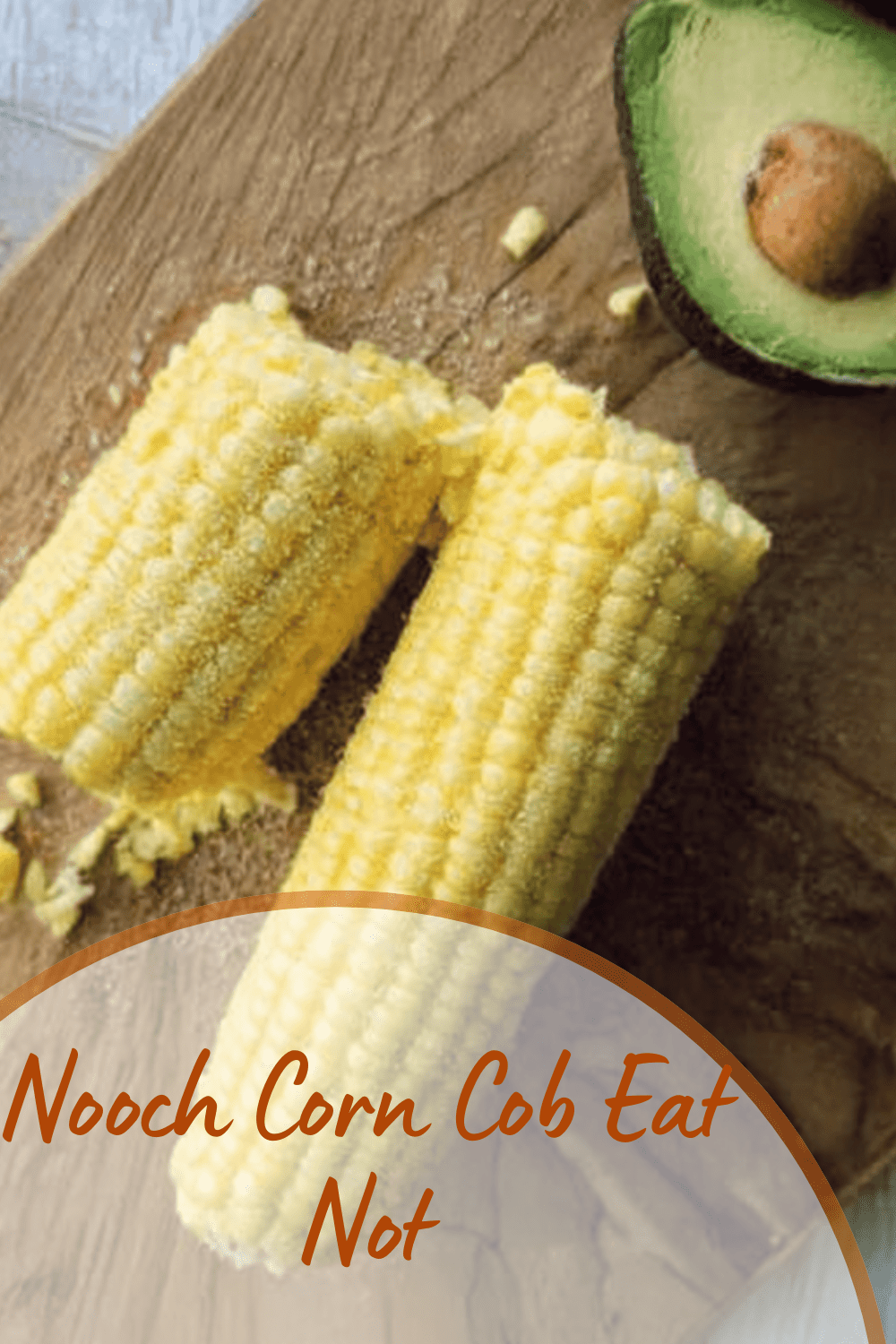Nooch Corn Cob Eat Not Recipes For Tasty Summer Meals